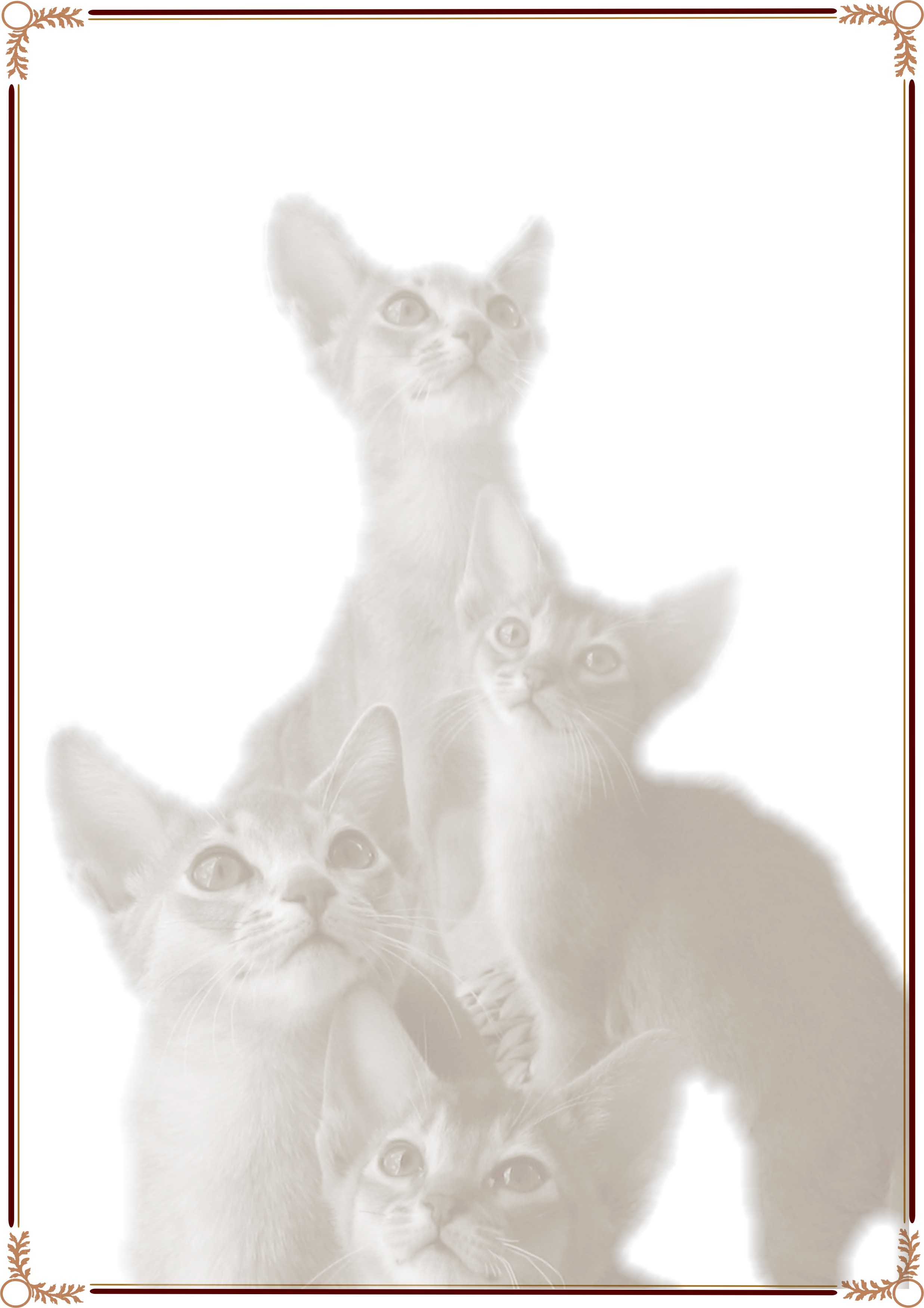 Kintraks Backgrounds