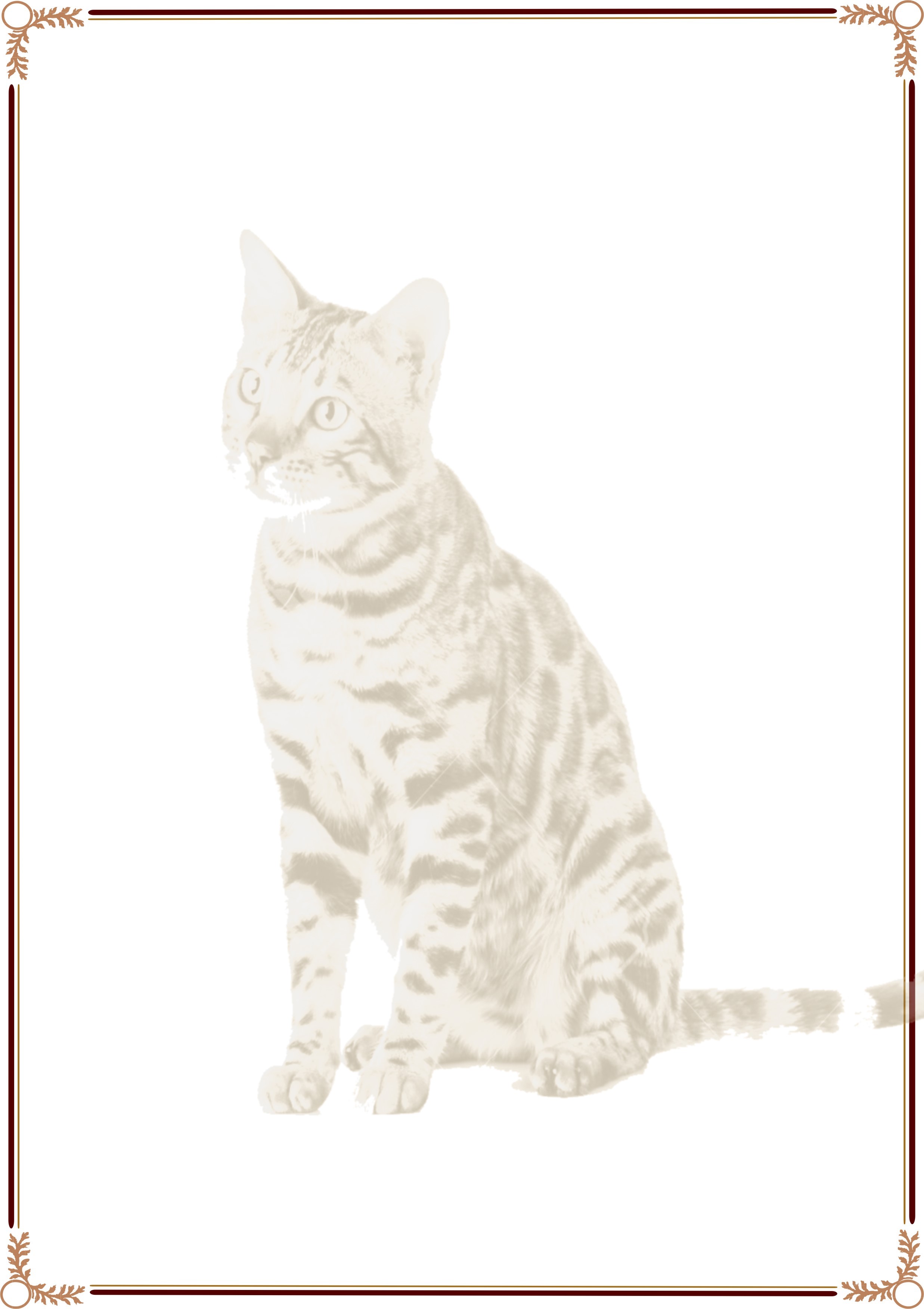 Kintraks Backgrounds