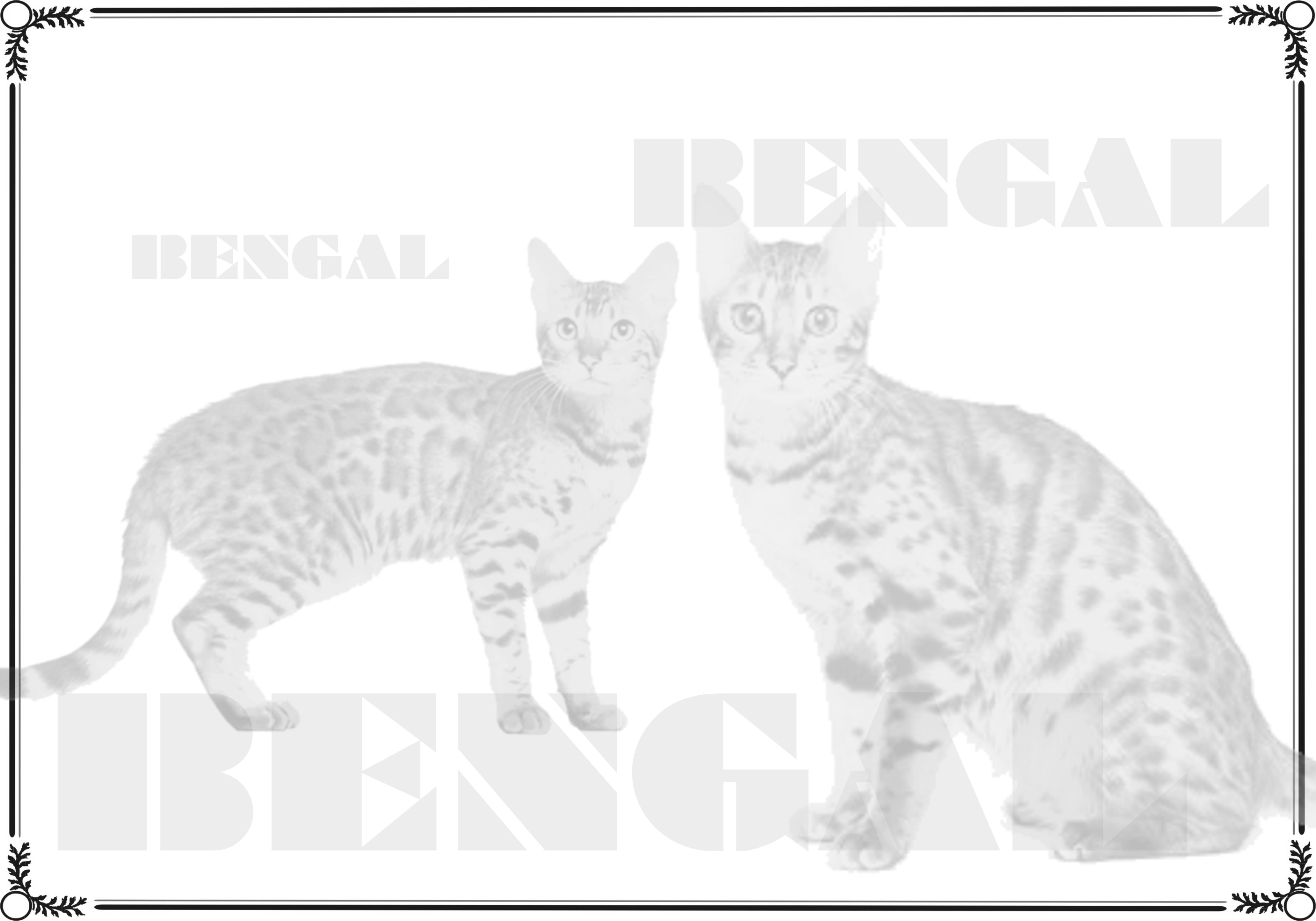 Kintraks Backgrounds