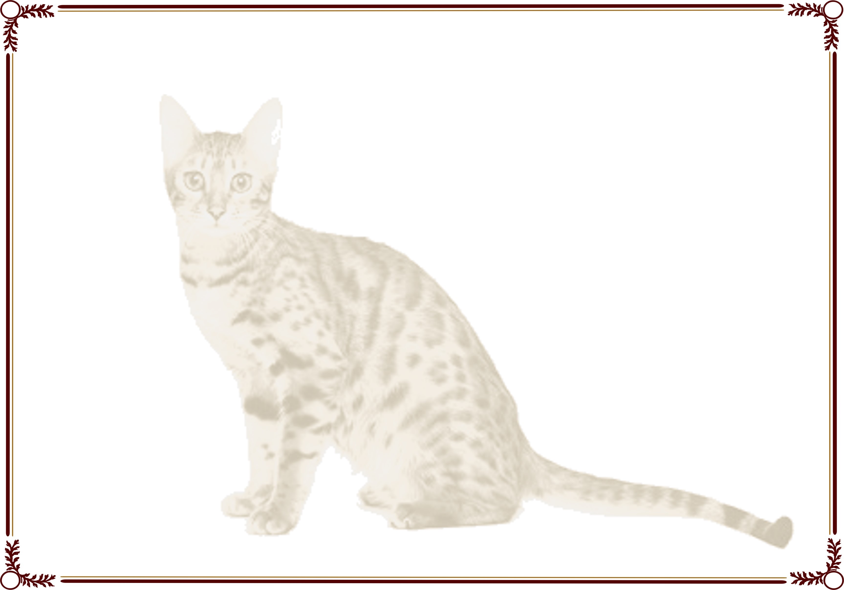 Kintraks Backgrounds