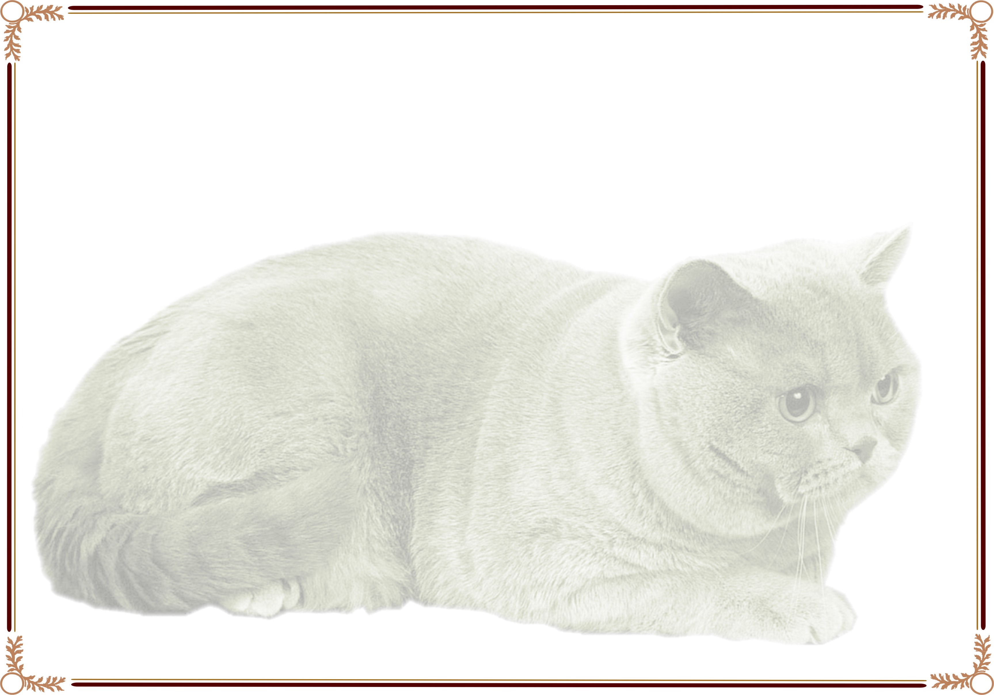 Kintraks Backgrounds