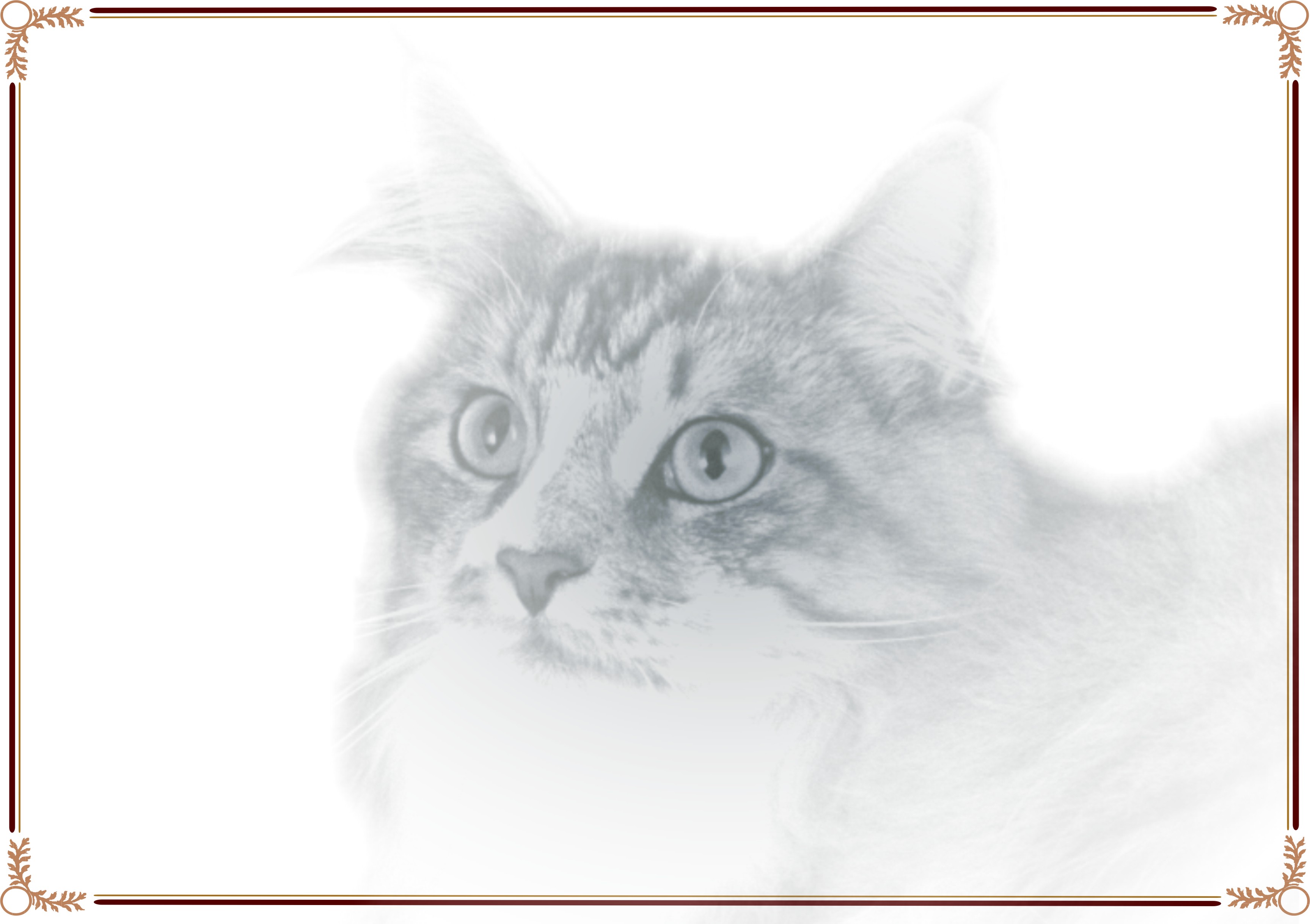 Kintraks Backgrounds