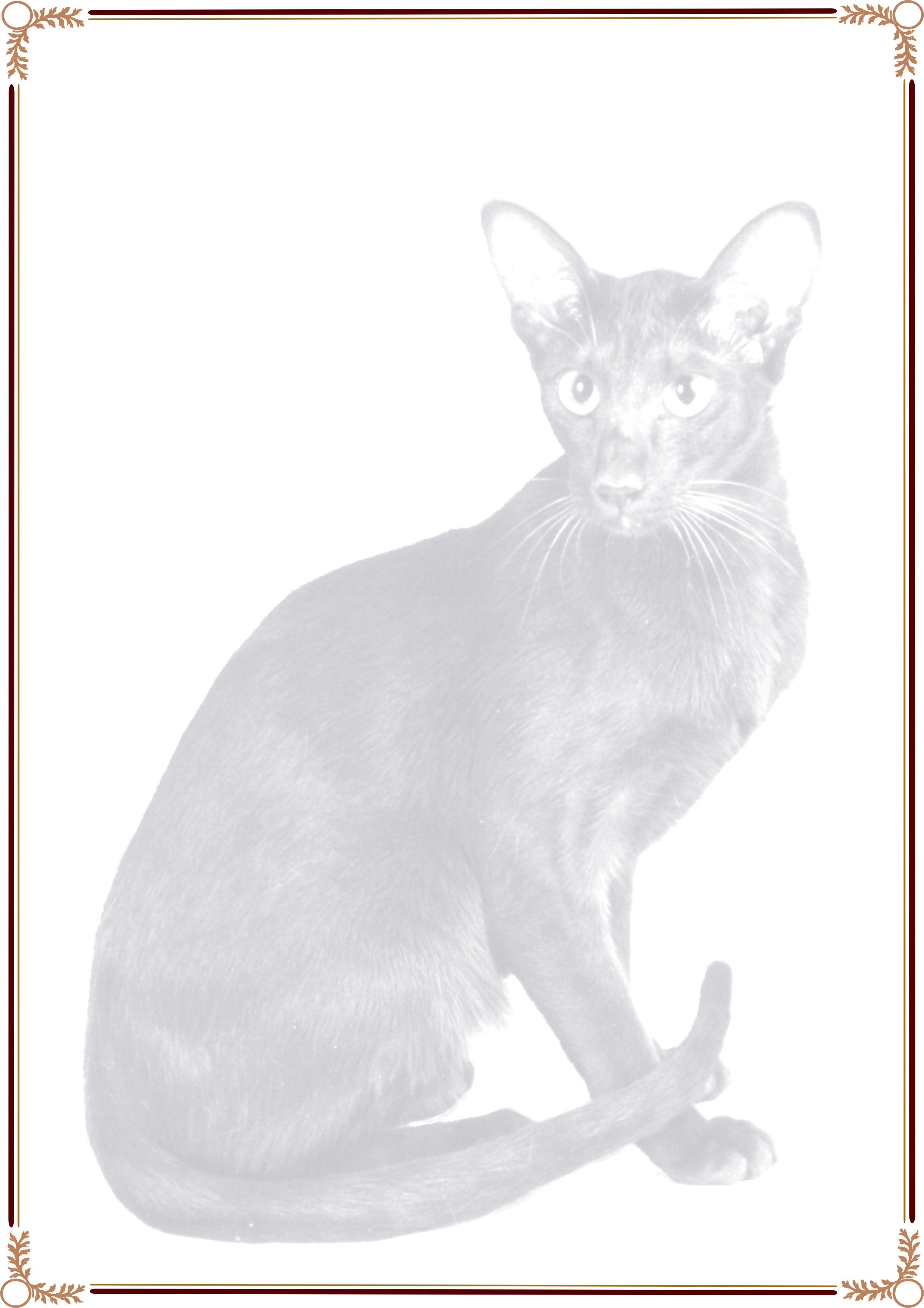 Kintraks Backgrounds