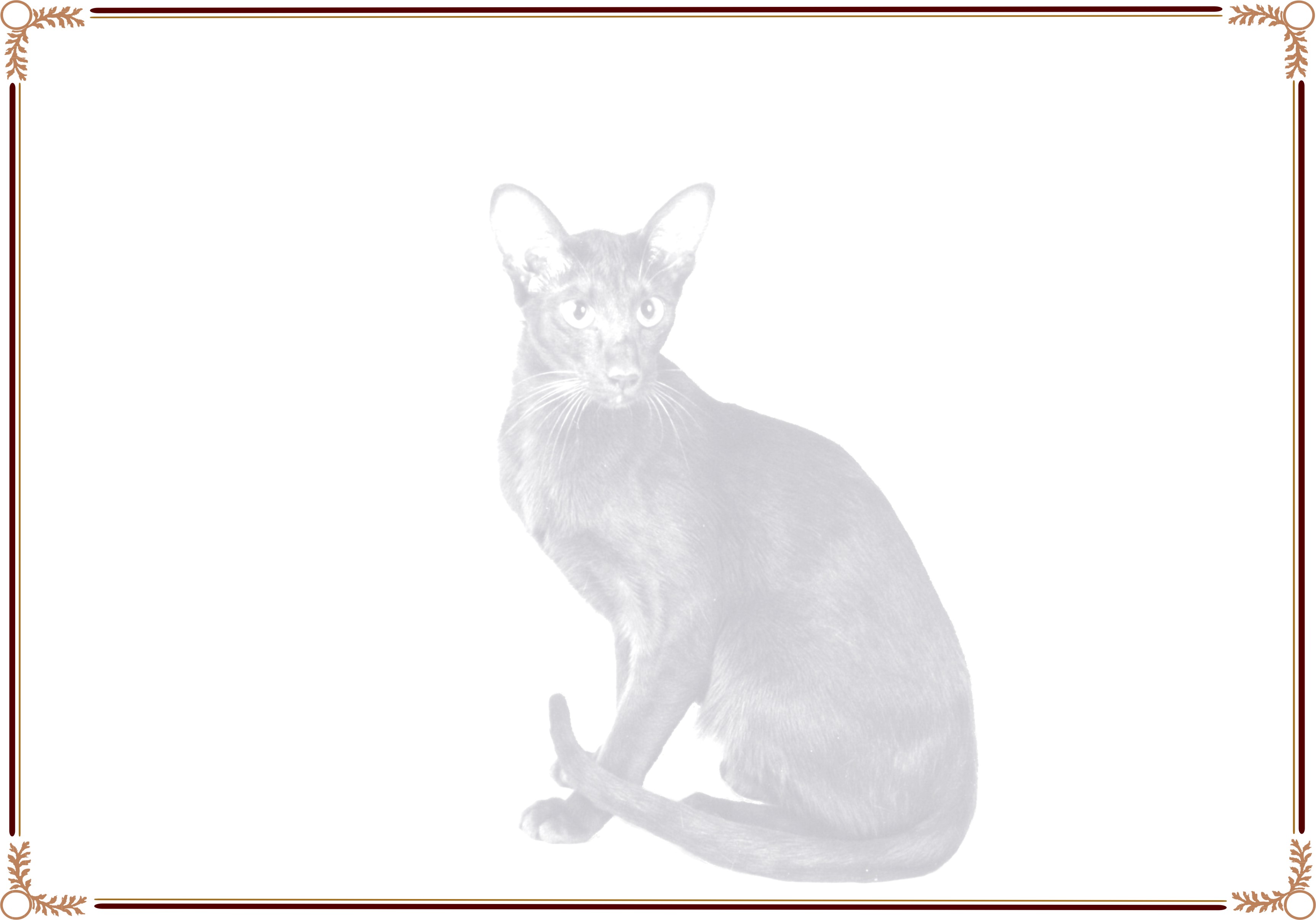 Kintraks Backgrounds