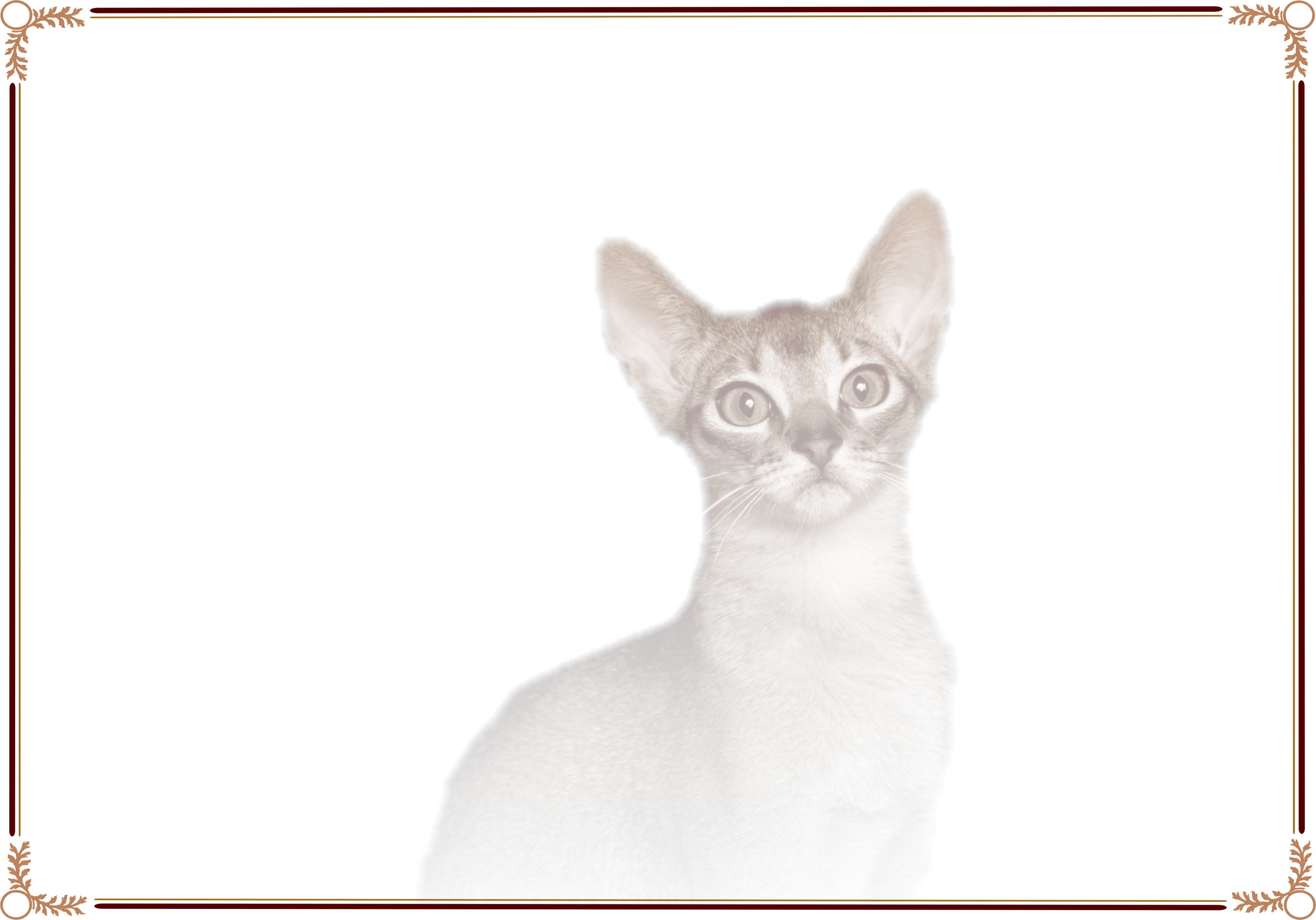 Kintraks Backgrounds