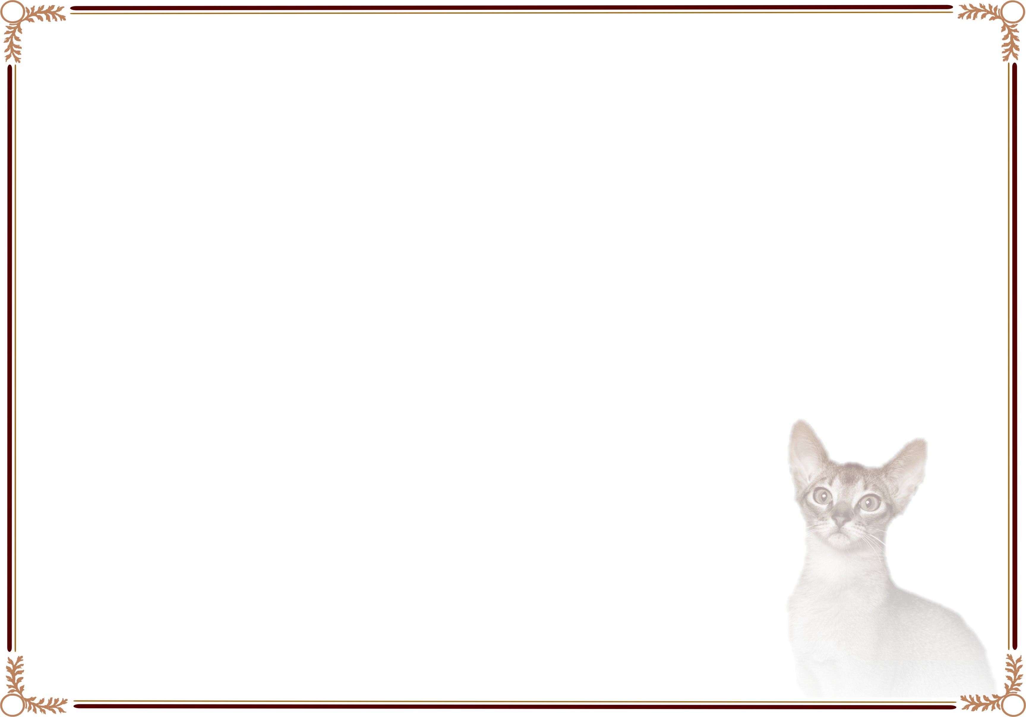 Kintraks Backgrounds