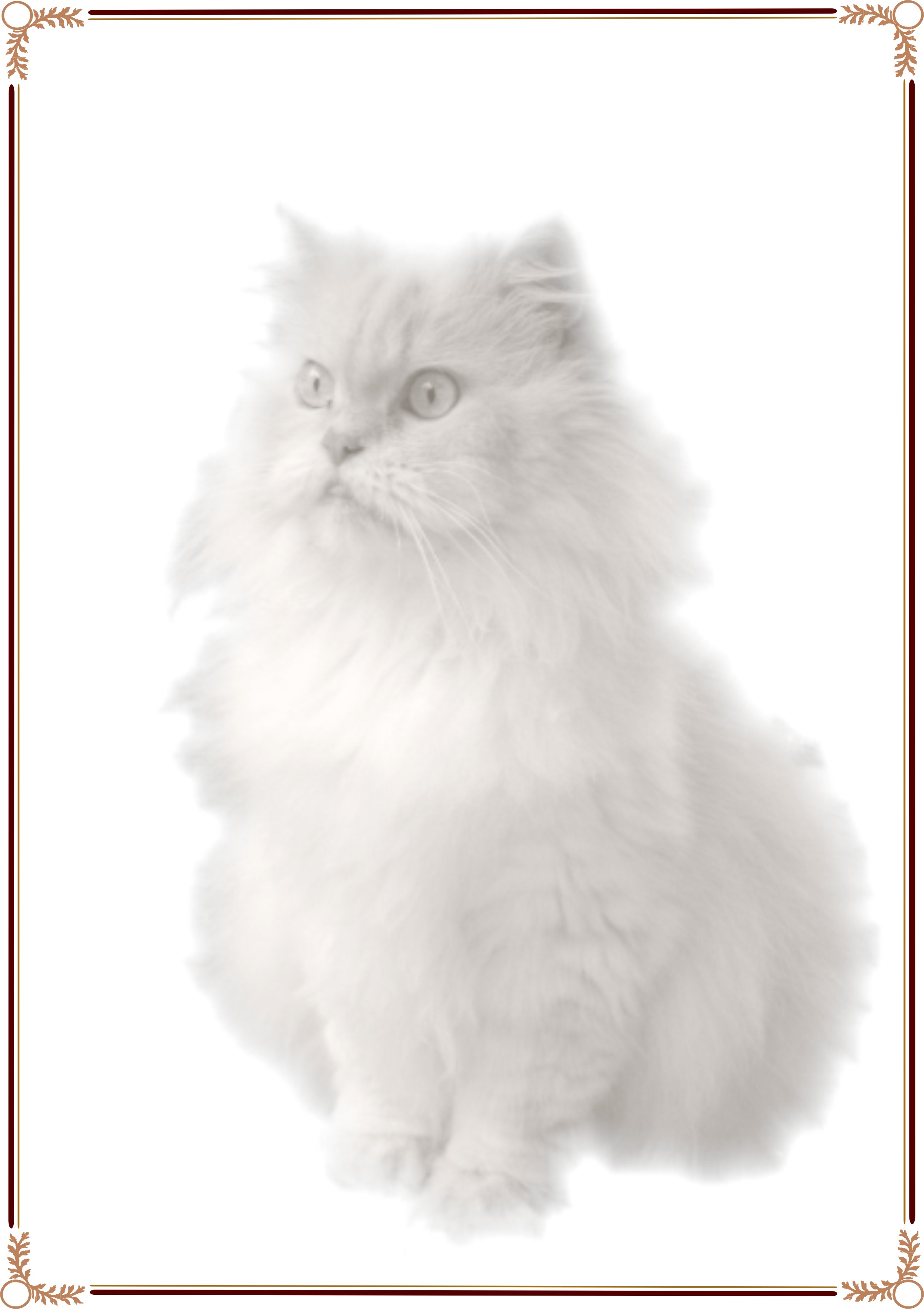 Kintraks Backgrounds