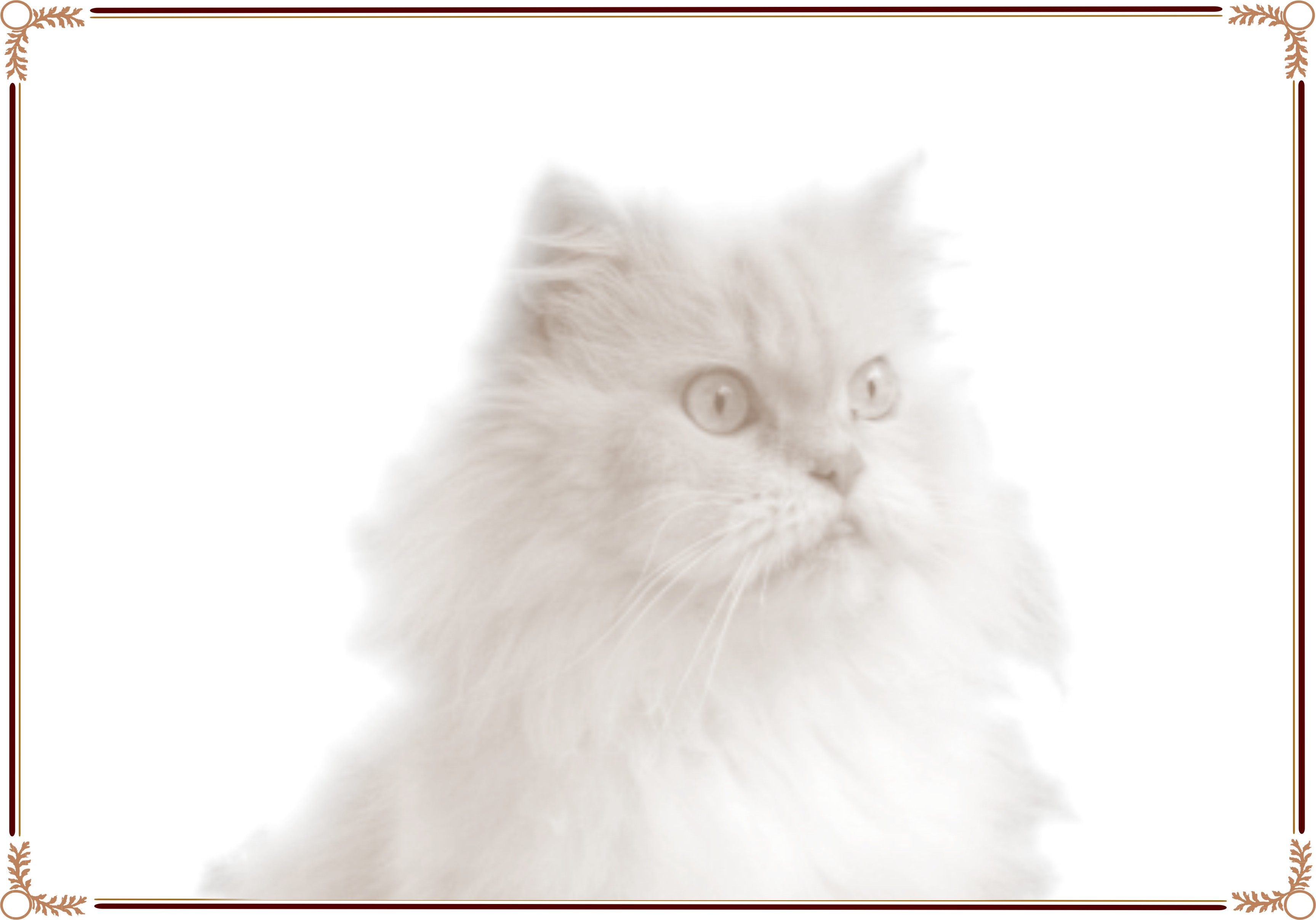 Kintraks Backgrounds