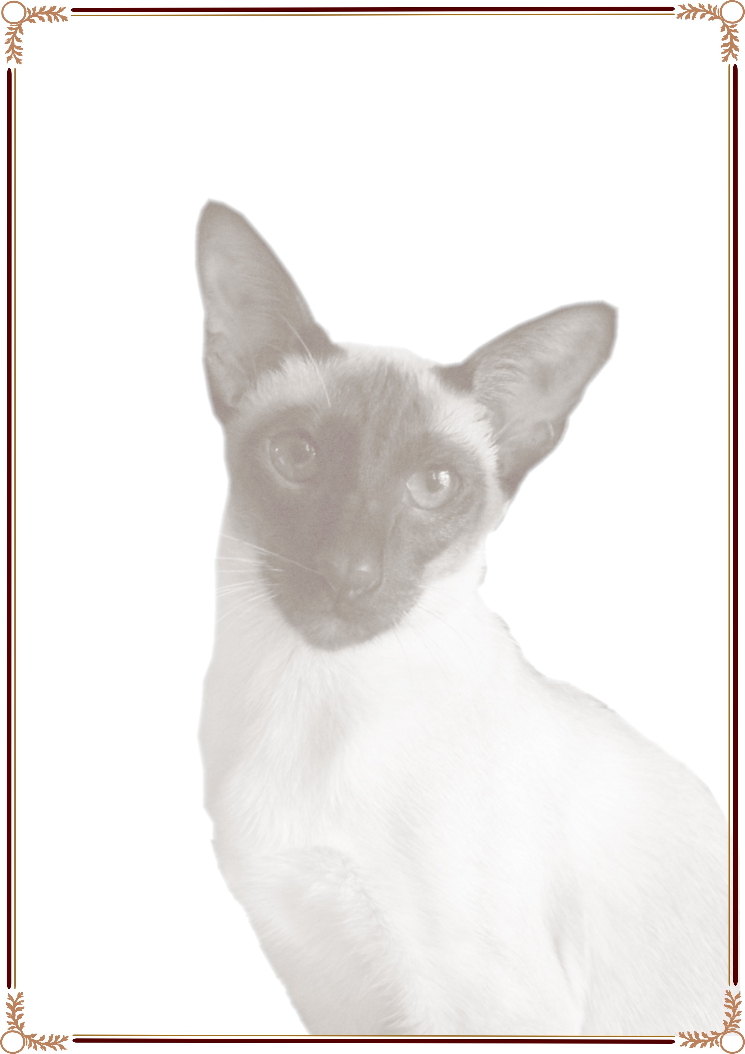 Kintraks Backgrounds