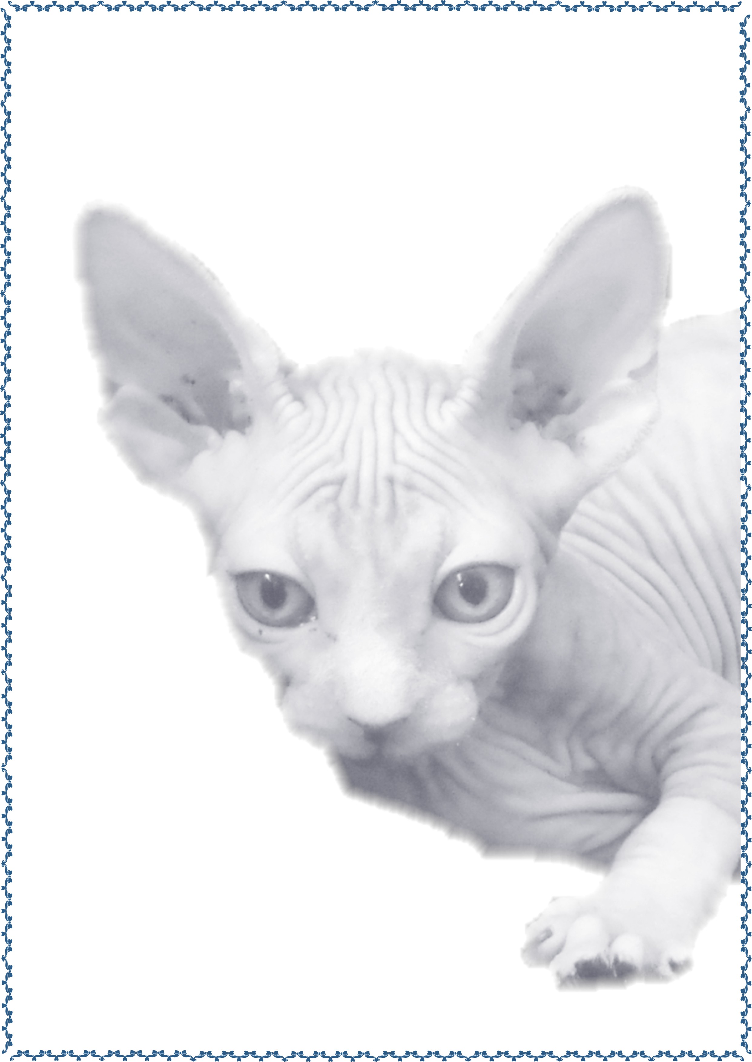 Kintraks Backgrounds