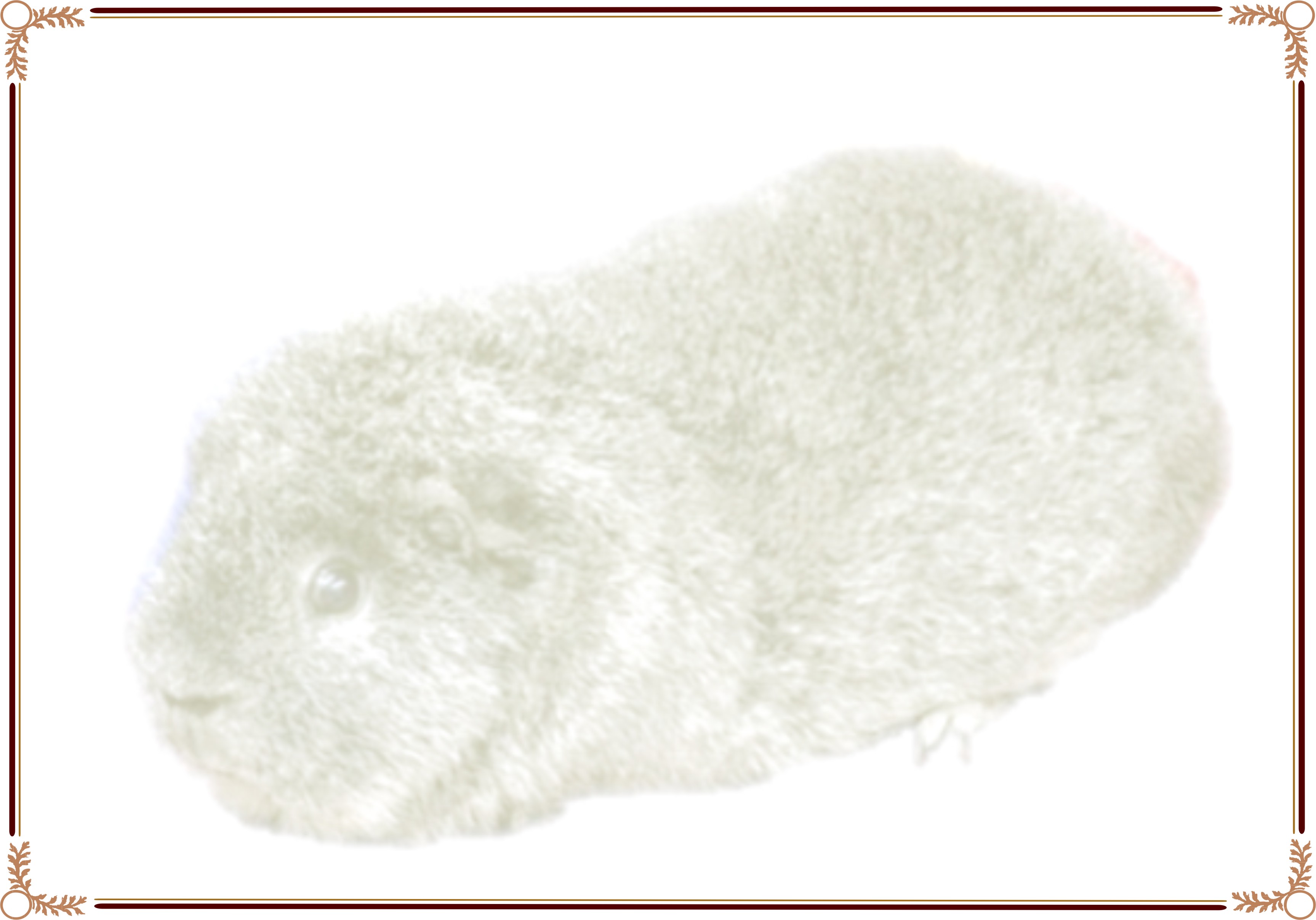 Kintraks Backgrounds