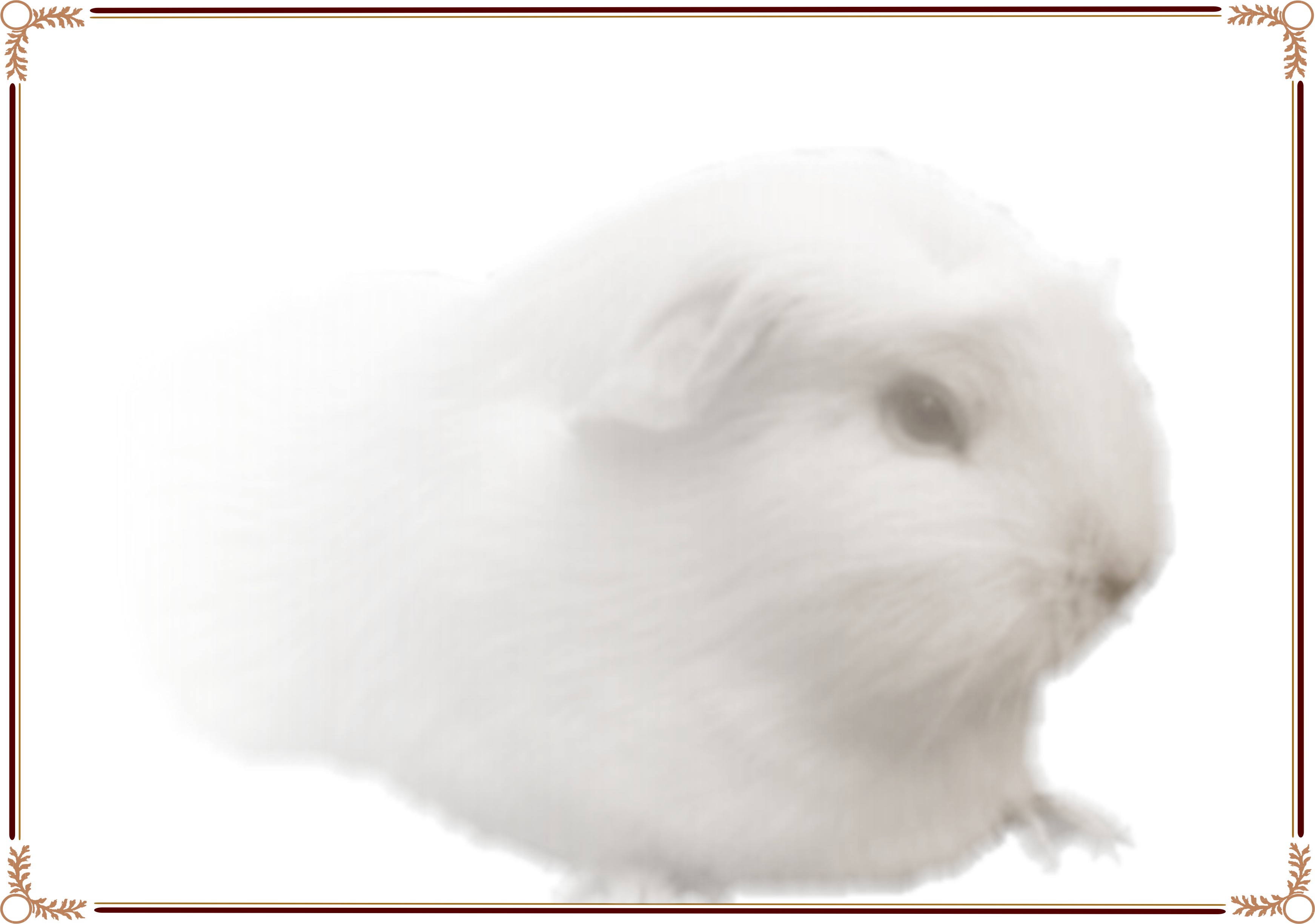 Kintraks Backgrounds