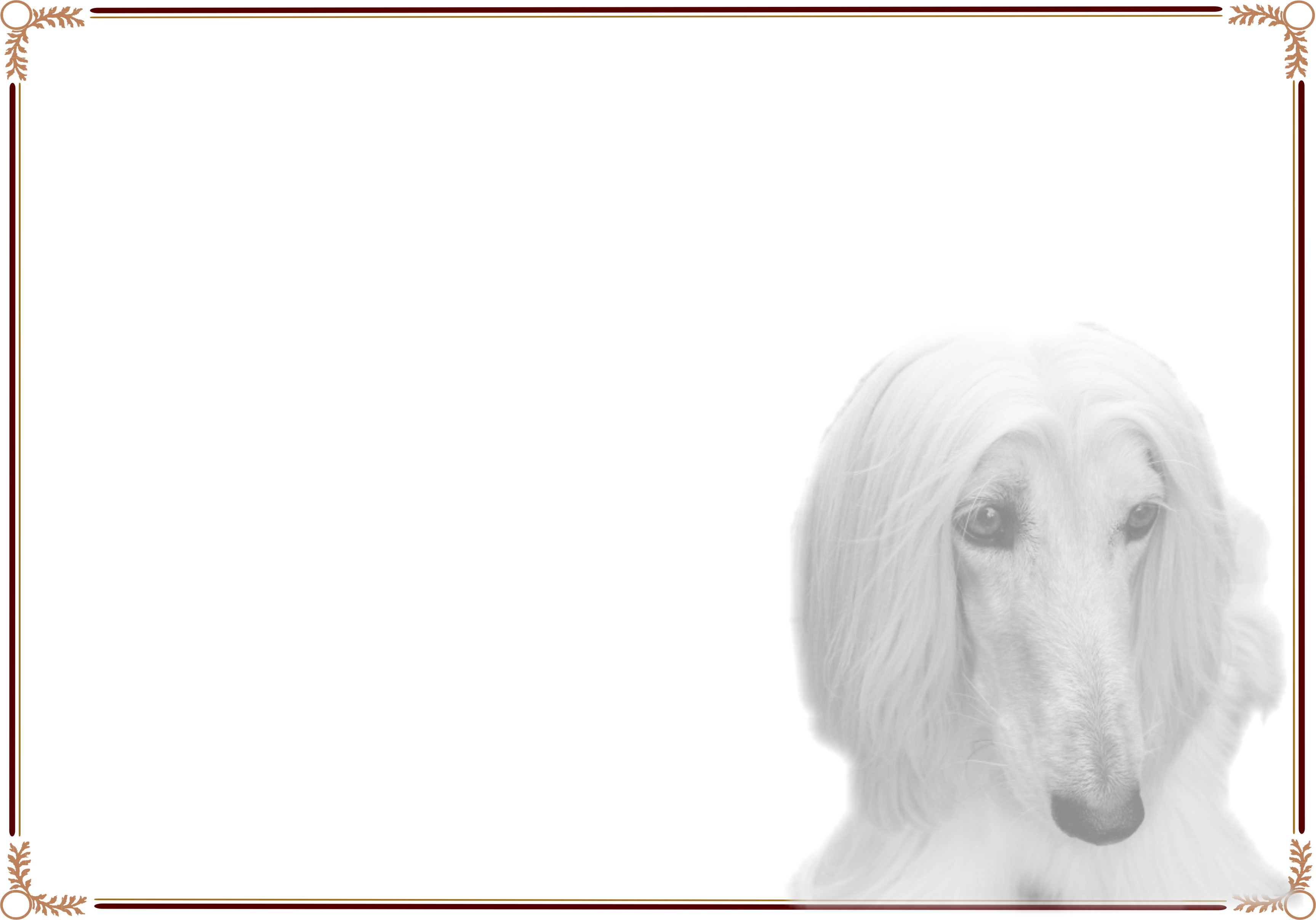 Kintraks Backgrounds