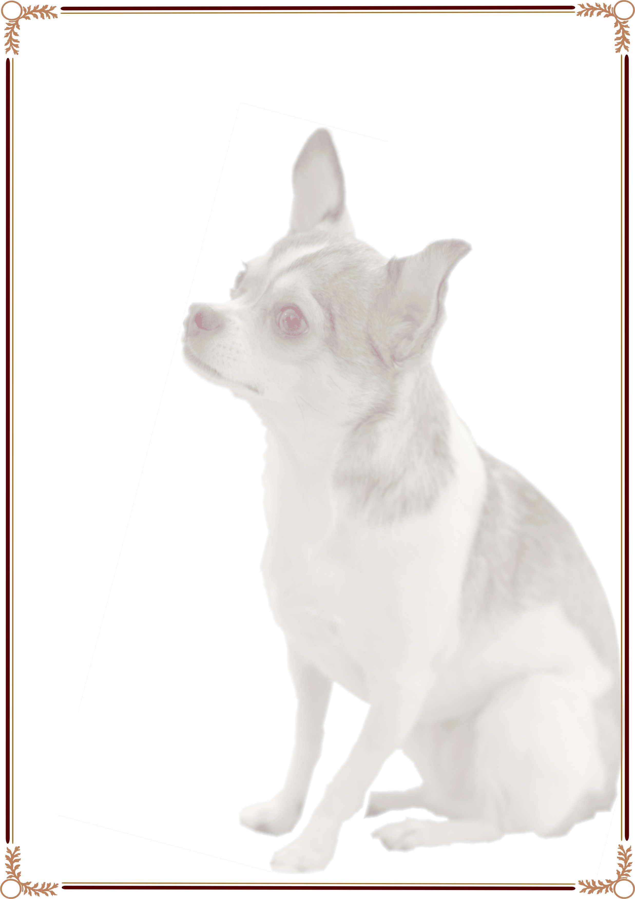 Kintraks Backgrounds