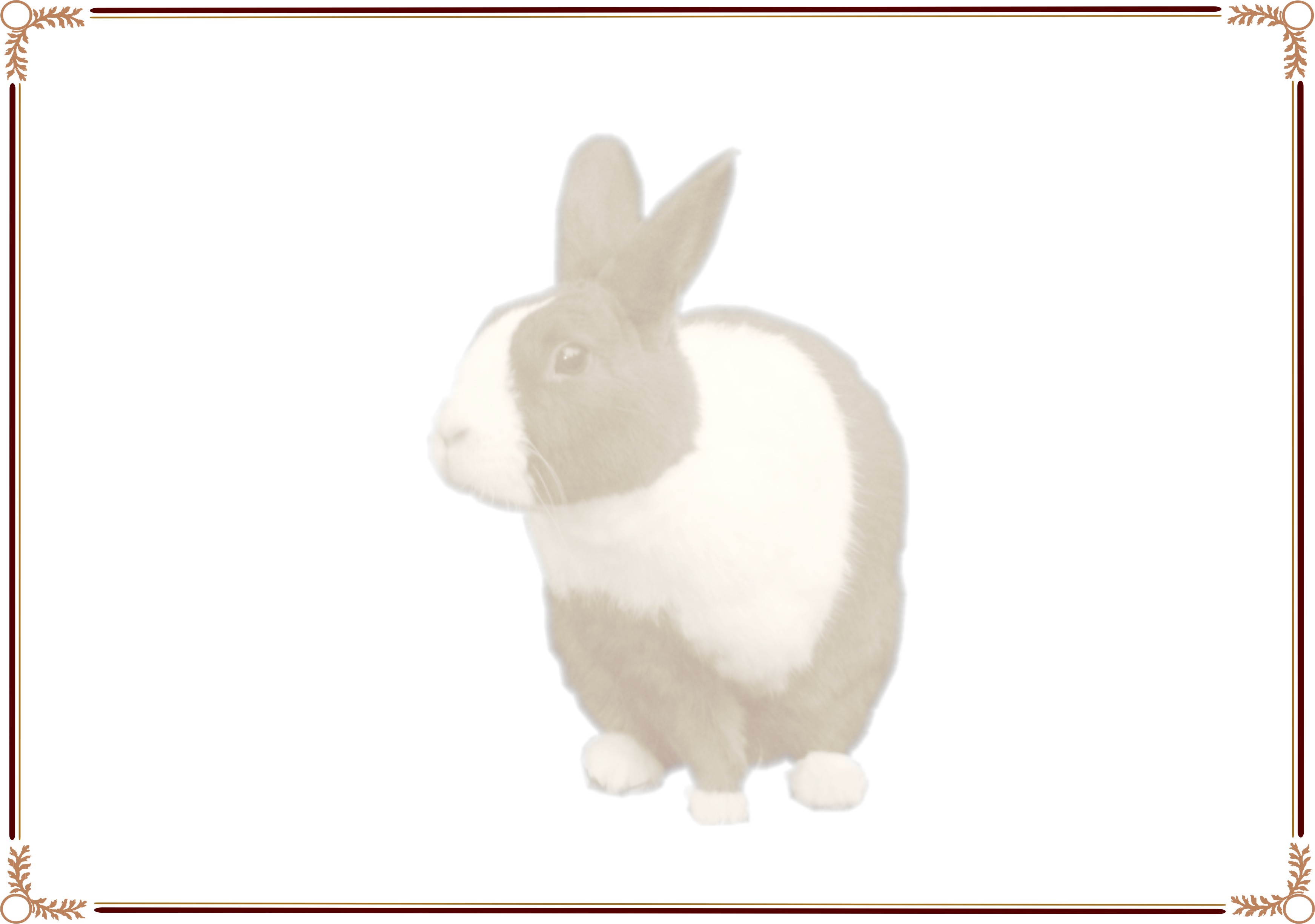 Kintraks Backgrounds