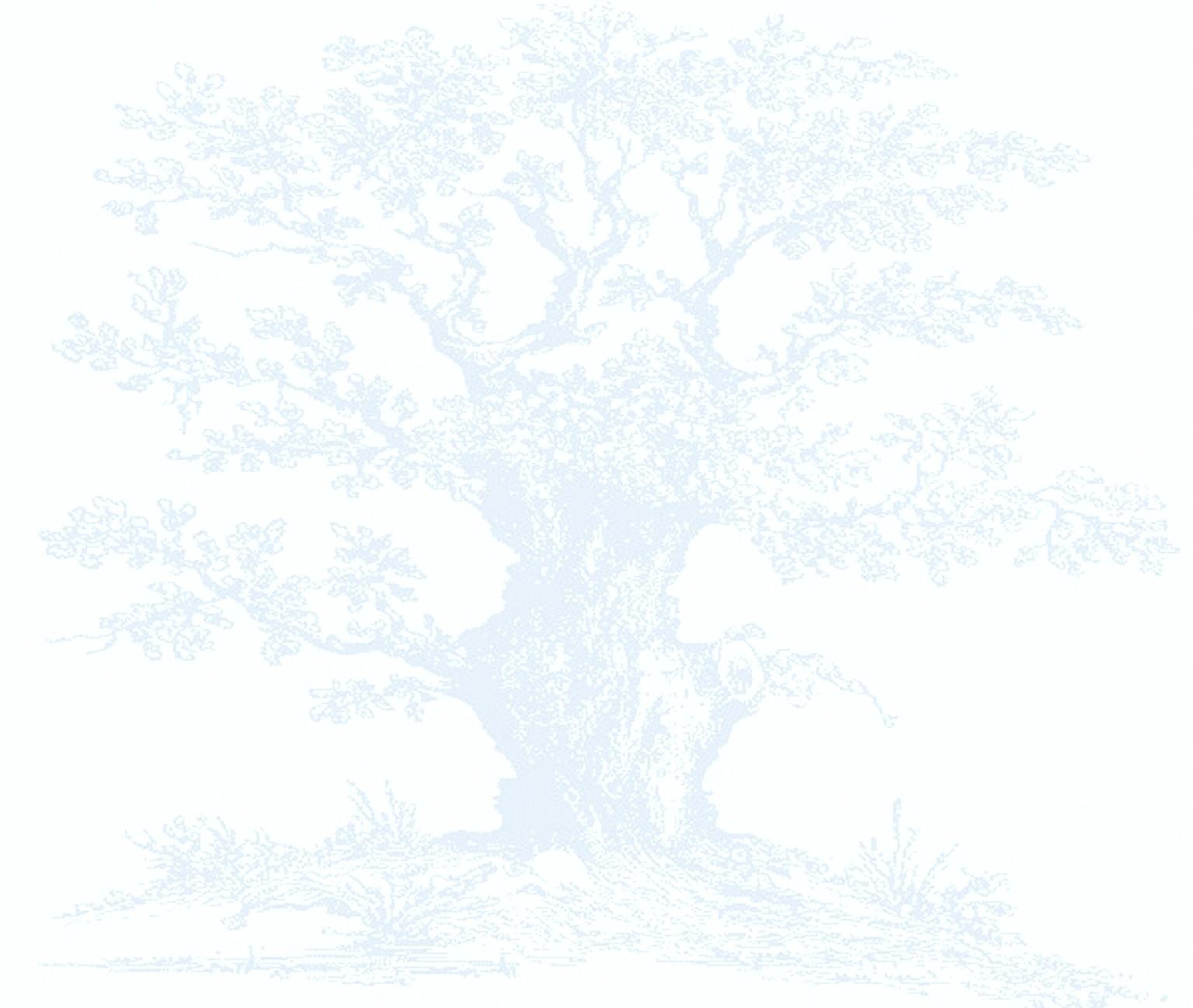 Kintraks Backgrounds